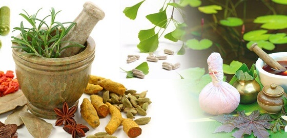 Ayurvedic & Panchakarma Clinic